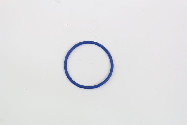 Fuel Pump Gasket - Audi (WHT-005-184) | Audi USA Parts