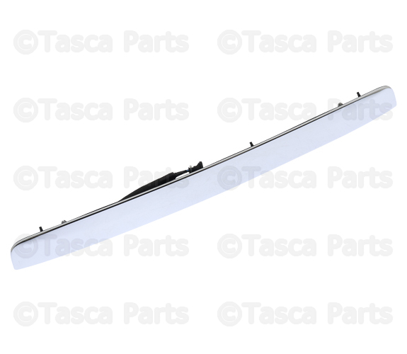 Finish Molding - Nissan (90810-9PG2D) | TascaParts.com