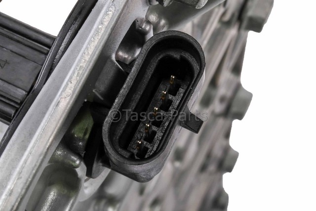 Genuine GM 12571609 Valve Lifter Lifters Automotive